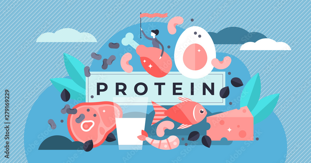 Protein vector illustration. Flat tiny amino acid food menu persons ...