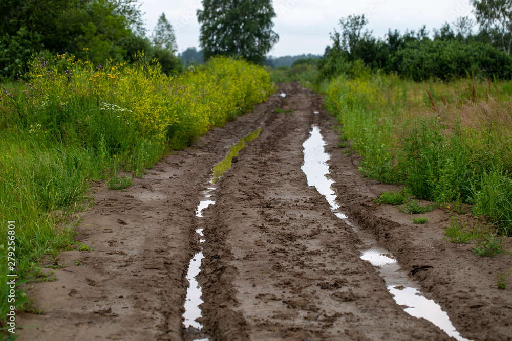 muddy road with mud and puddles in the field in summer Stock Photo ...