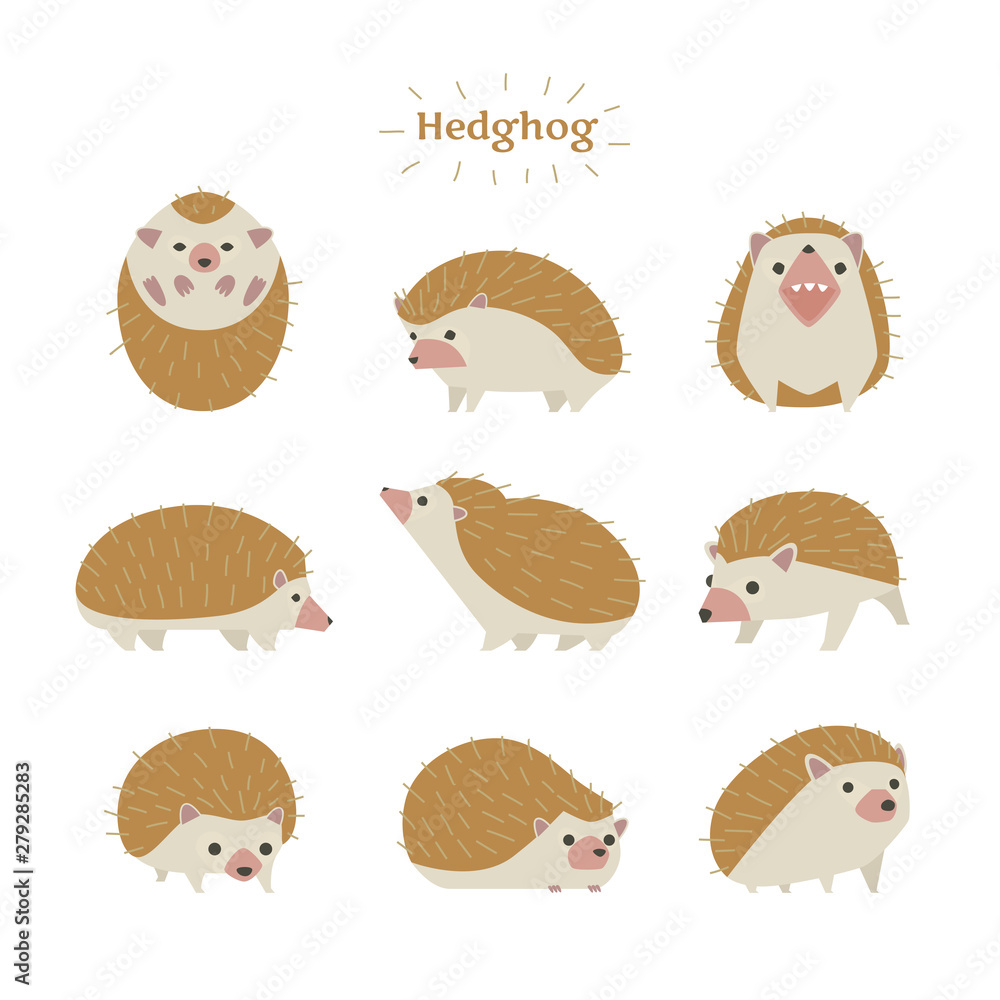 Hedgehogs in various poses. flat design style minimal vector ...
