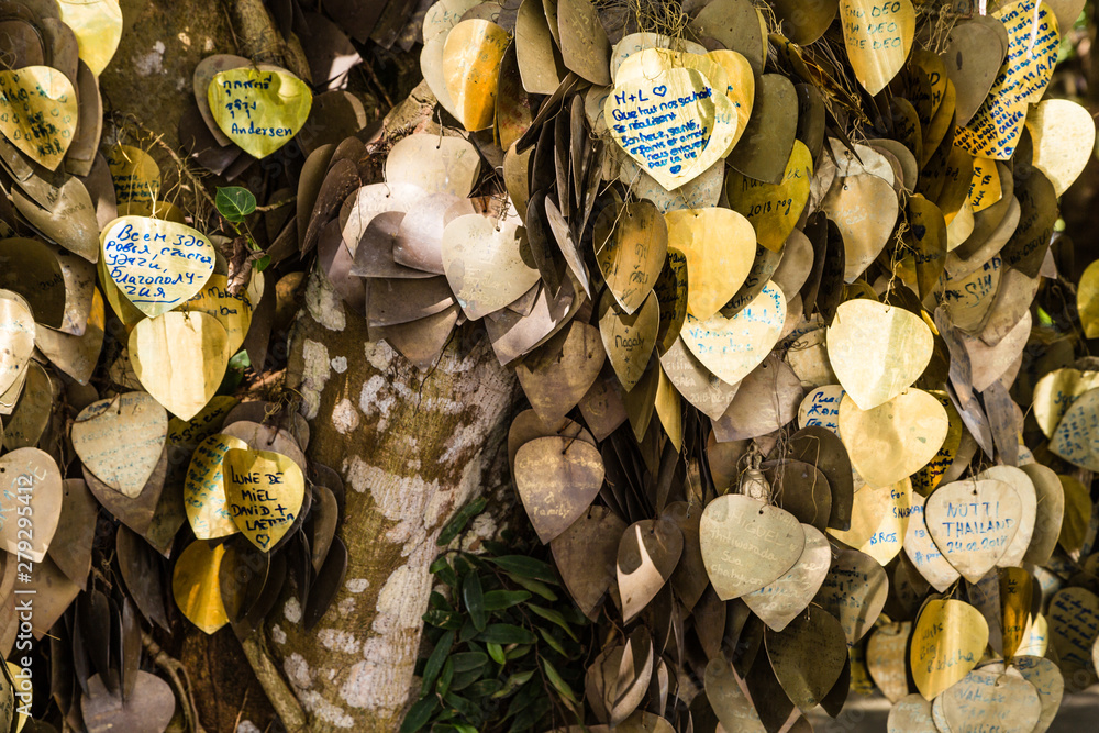 Write your wishes on the Gold Bodhi hung on a metal rod under the tree ...