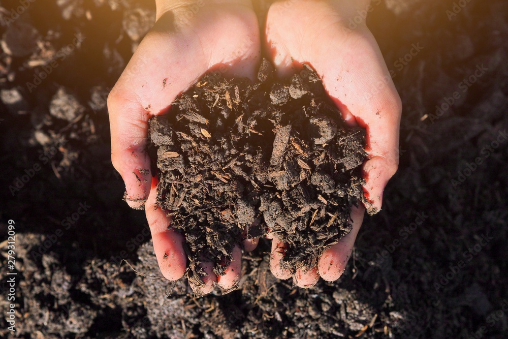 Farmers concept, good soil should have all the nutrients required by ...