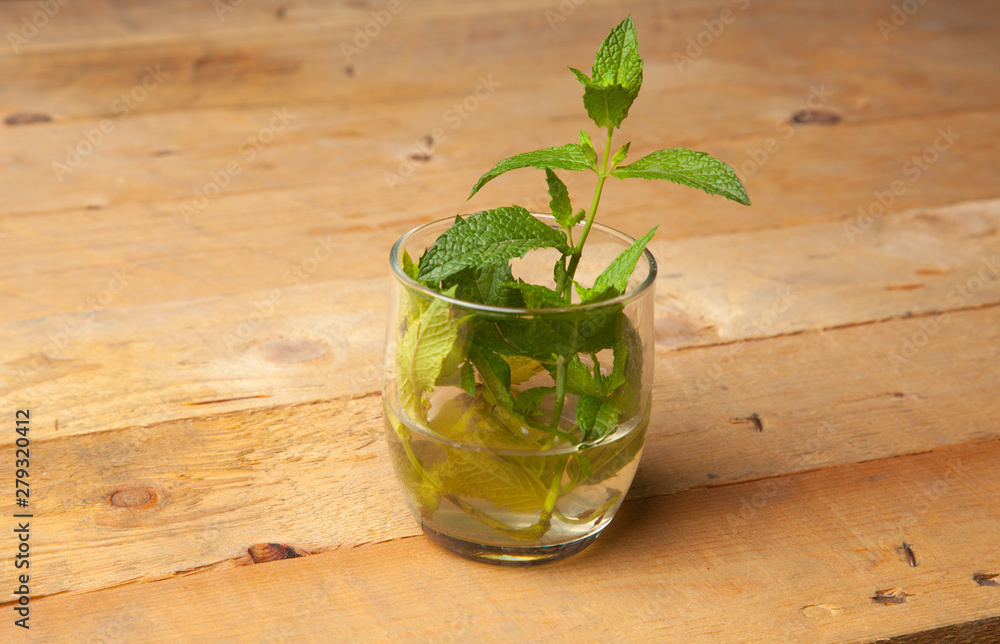 Foto de Hojas de menta; la menta es una hierba cuyas hojas tienen mucho ...