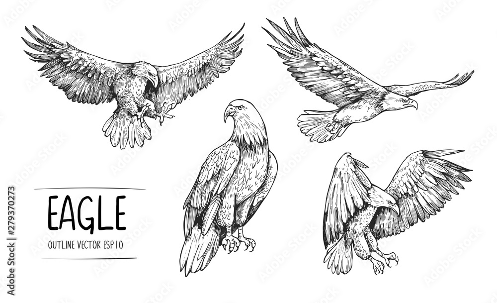 Sketch of eagle. Hand drawn illustration converted to vector Stock ...
