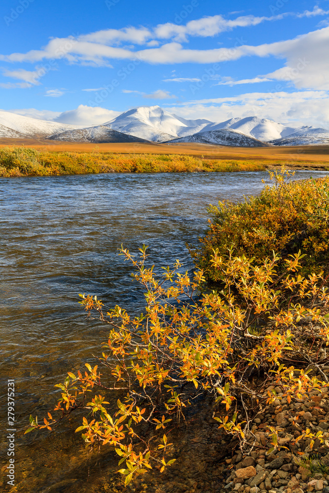 Tundra River