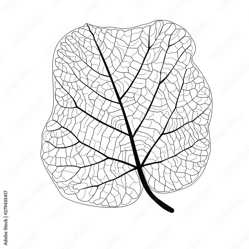Leaves line single leaf and leaf pattern black Bring to color decorate ...