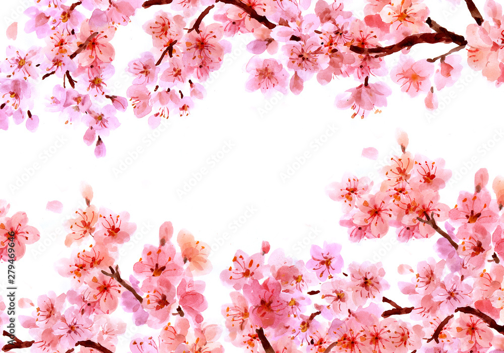 Sakura watercolor background for graphic design, hand painted on paper ...