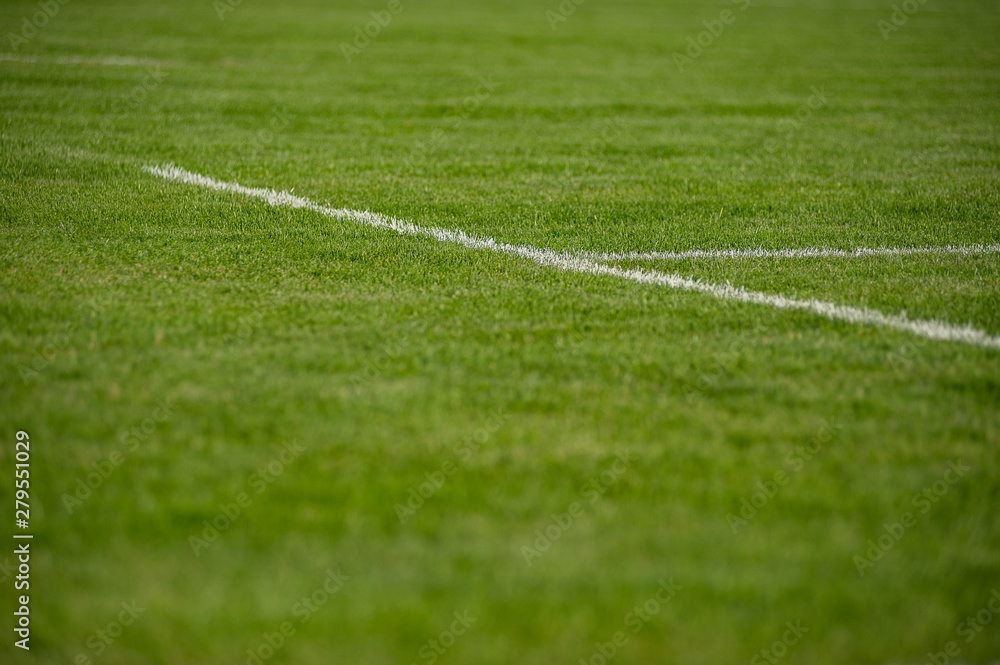 Lawn. Limit lines of a sports grass field with selective focus Stock ...