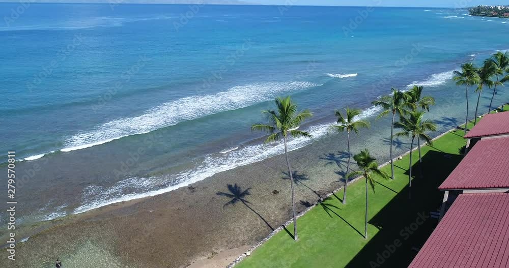 An aerial view of palm trees along a beach on the island of Maui ...