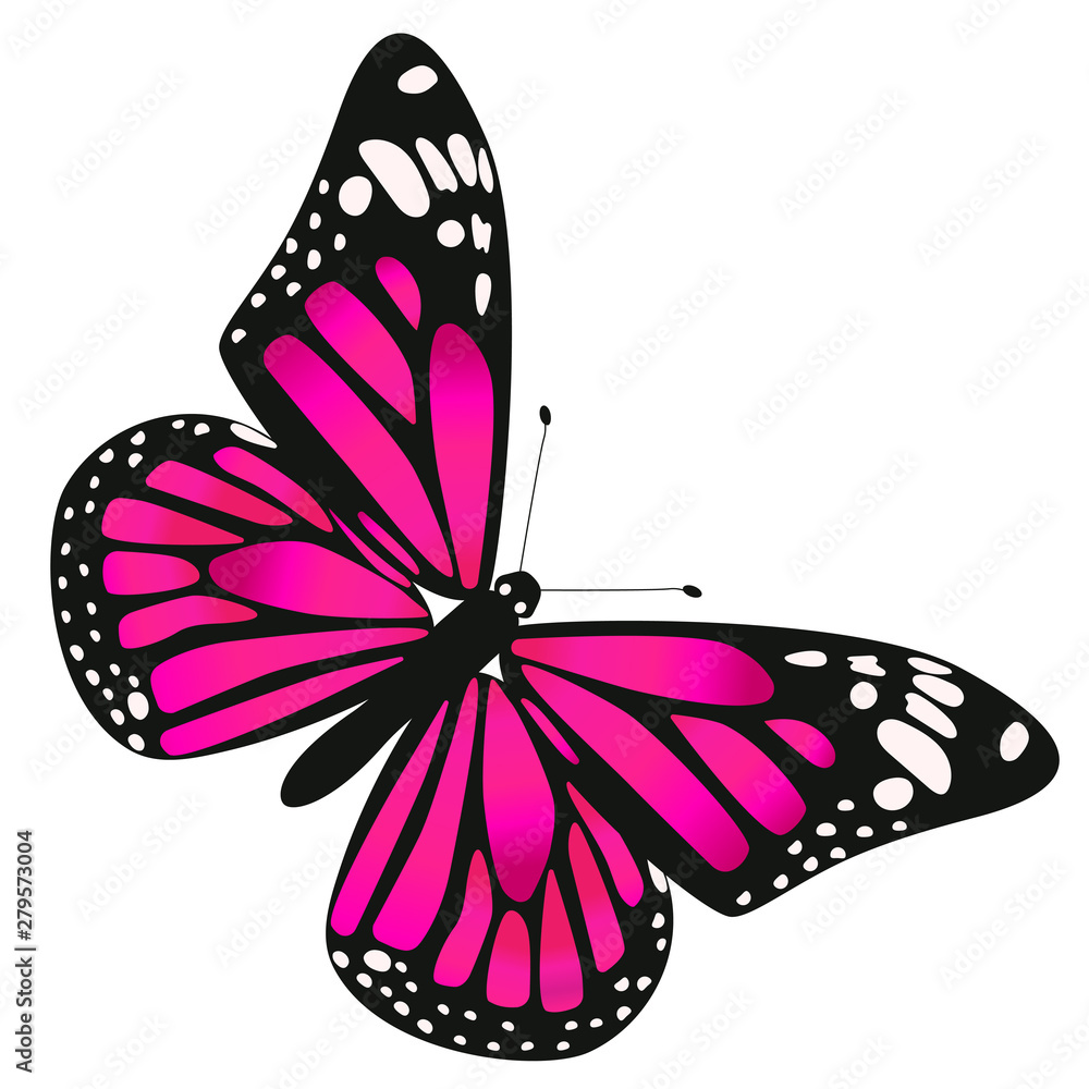 Single Butterfly Clipart To Color