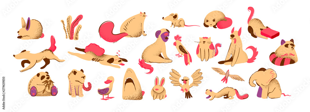Set wild animals lion and elephant, wolf and panda bear, pets cats and ...
