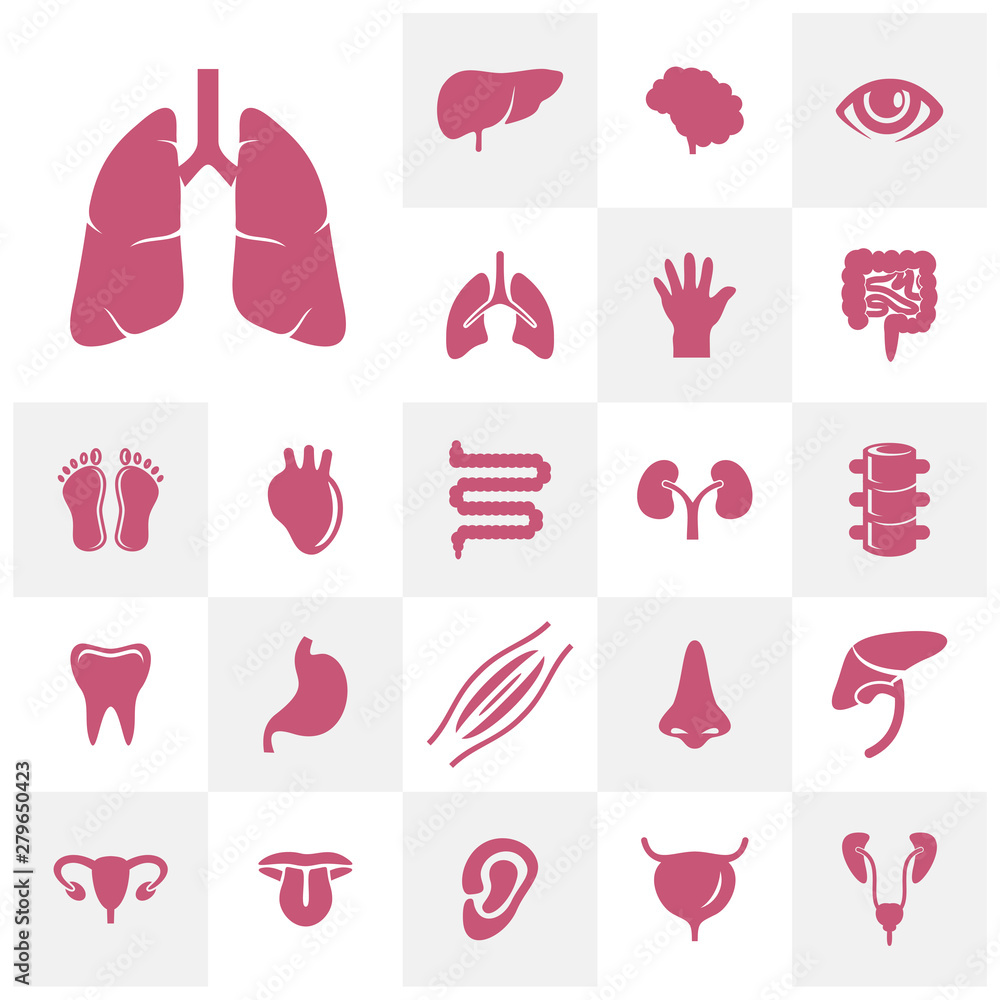 Set of Organs logo concept vector template. Internal Organs Related ...