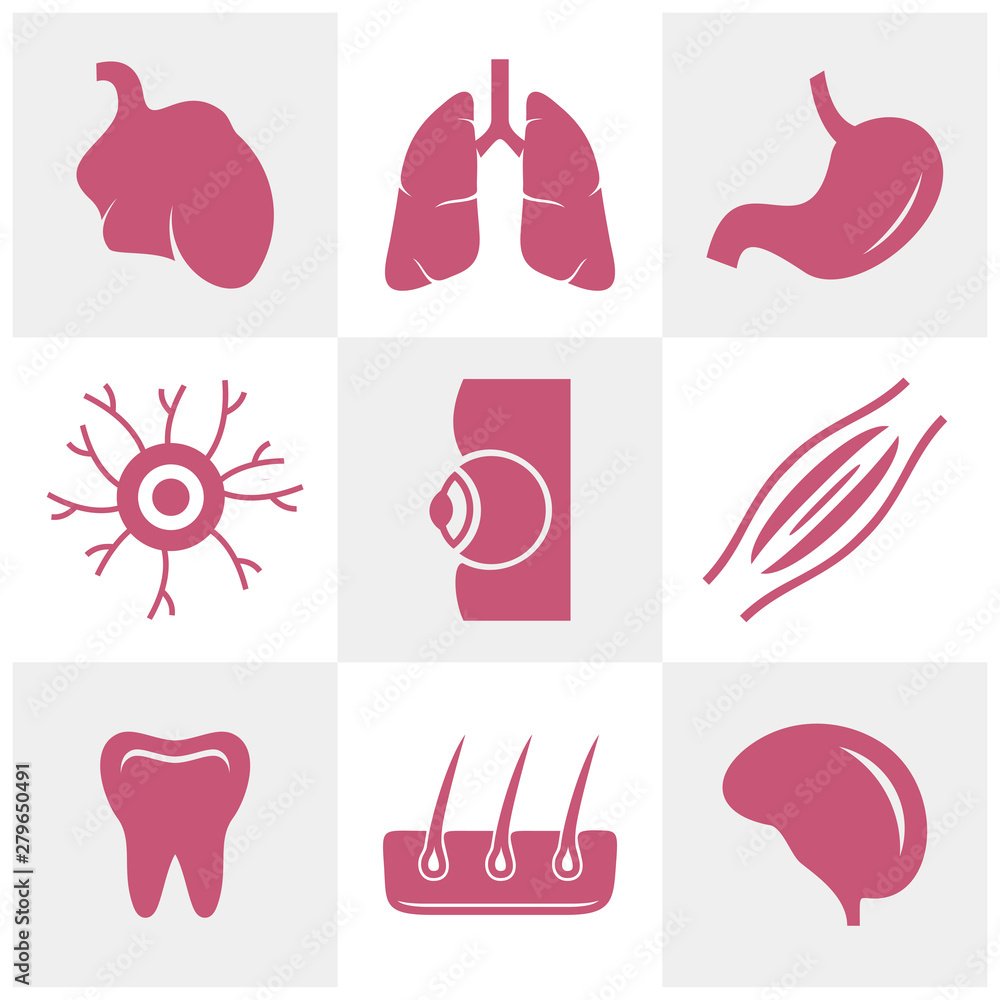 Set of Organs logo concept vector template. Internal Organs Related ...