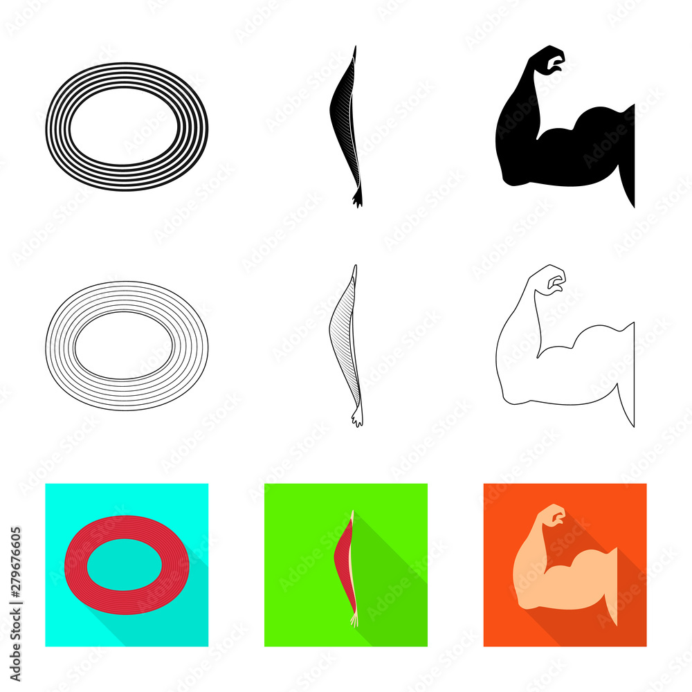 Vector illustration of fiber and muscular sign. Set of fiber and body ...
