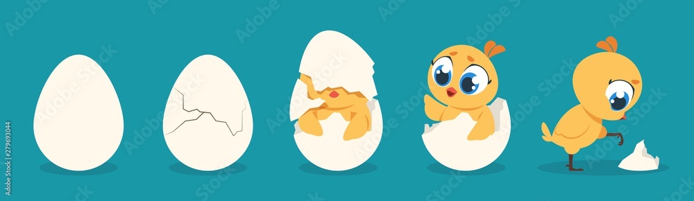 Hatching chicken. Cartoon baby chick birthday step-by-step process ...