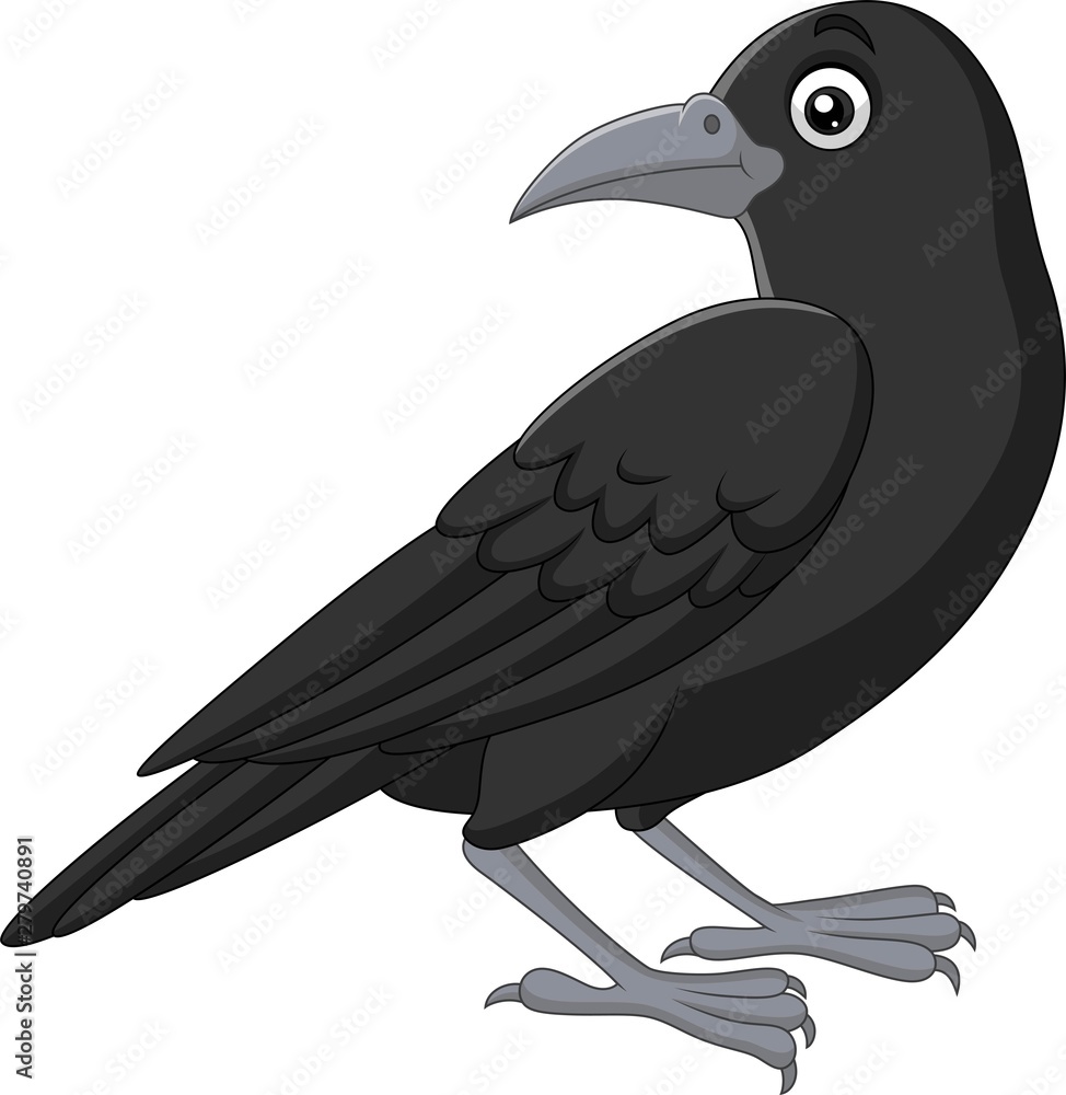 Cartoon crow isolated on white background Stock Vector | Adobe Stock