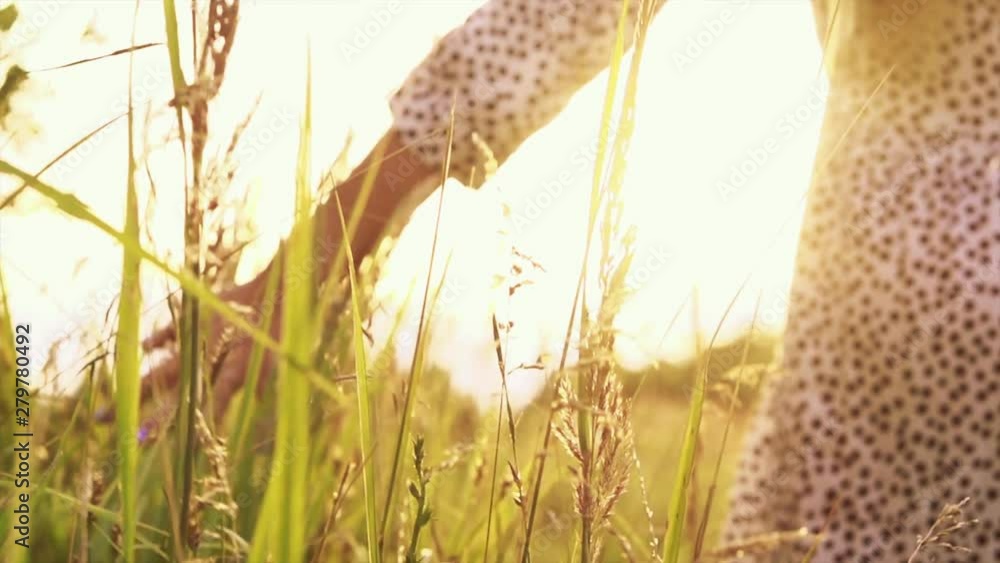 Woman hand running through meadow wild grass field. Girl's hand ...