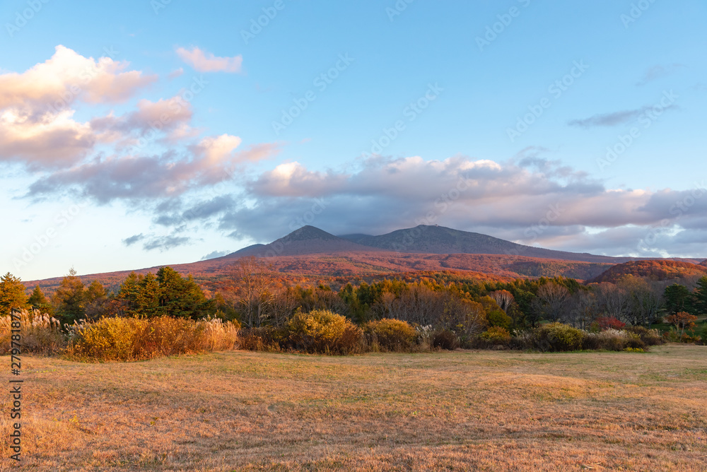 Autumn foliage scenery in Kayano-Kogen plateau, Aomori, Japan. Hakkoda ...