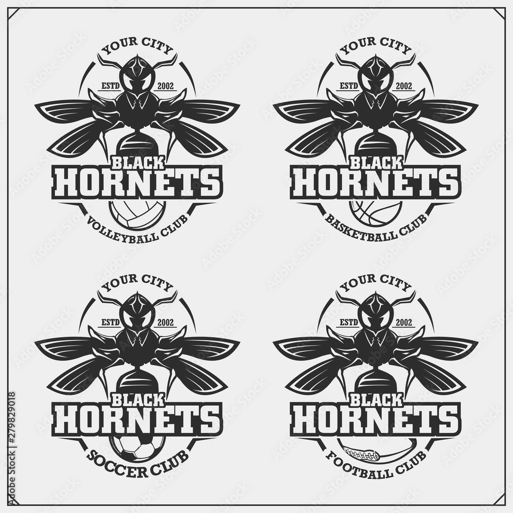 Hornets Football Logo