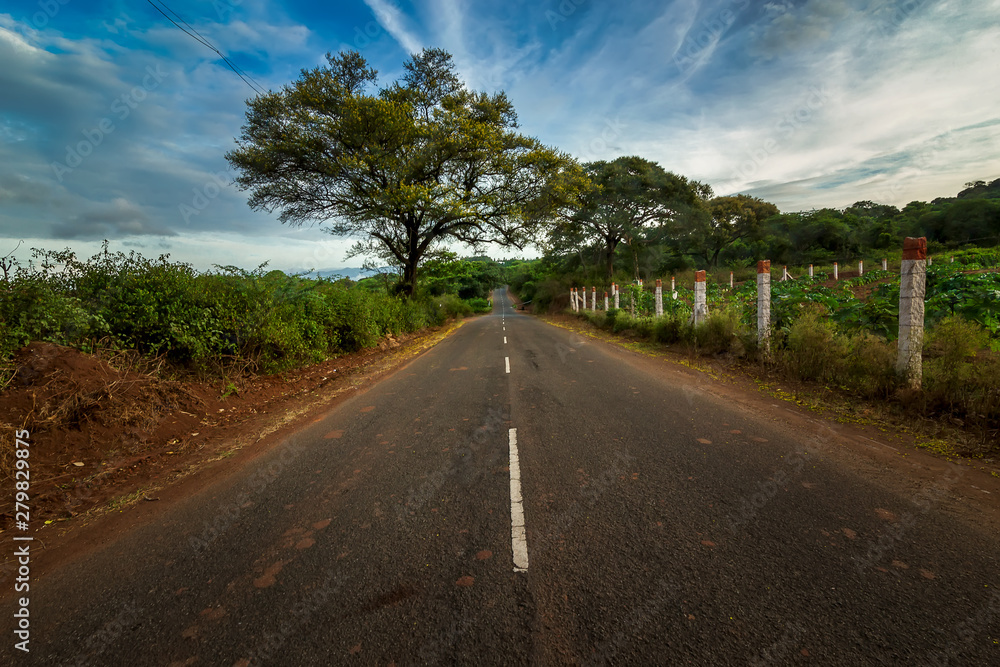 Road with trees at both side- Coimbatore Tamil Nadu India Stock Photo ...