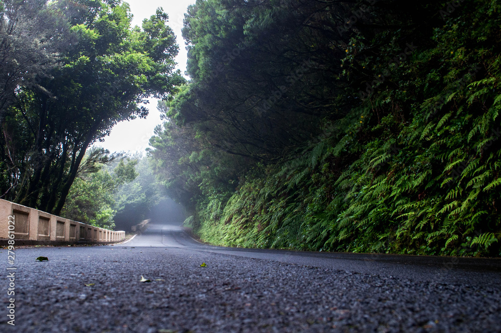 Ground Level Photography