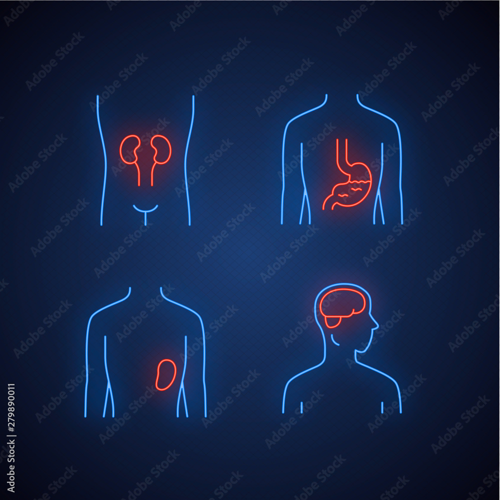 Healthy human organs neon light icons set. Kidney and spleen in good ...