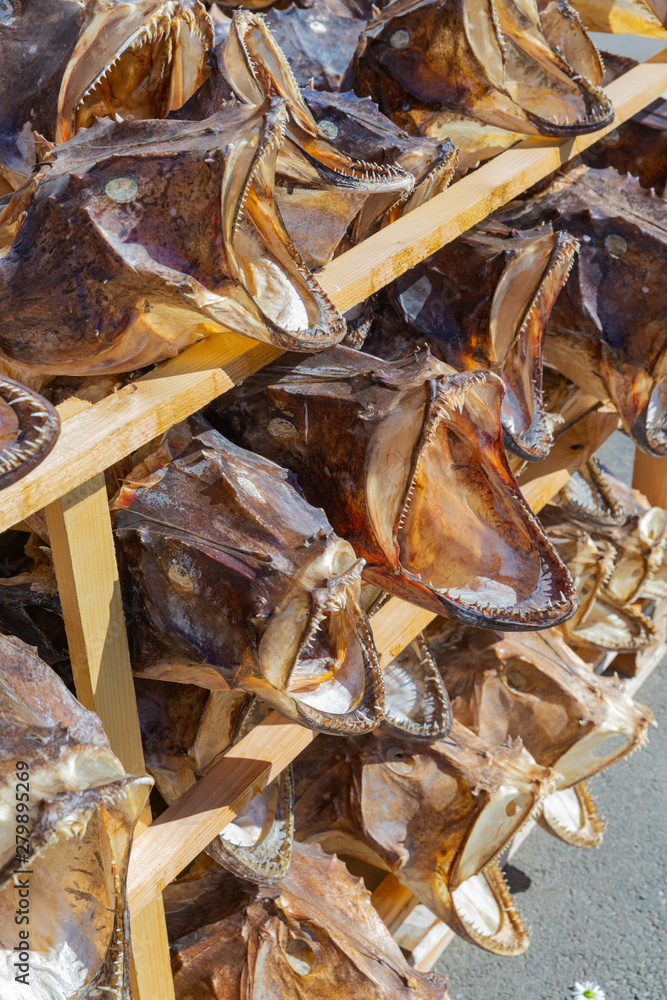 Foto de Traditional Drying cod heads drying on traditional wooden racks ...