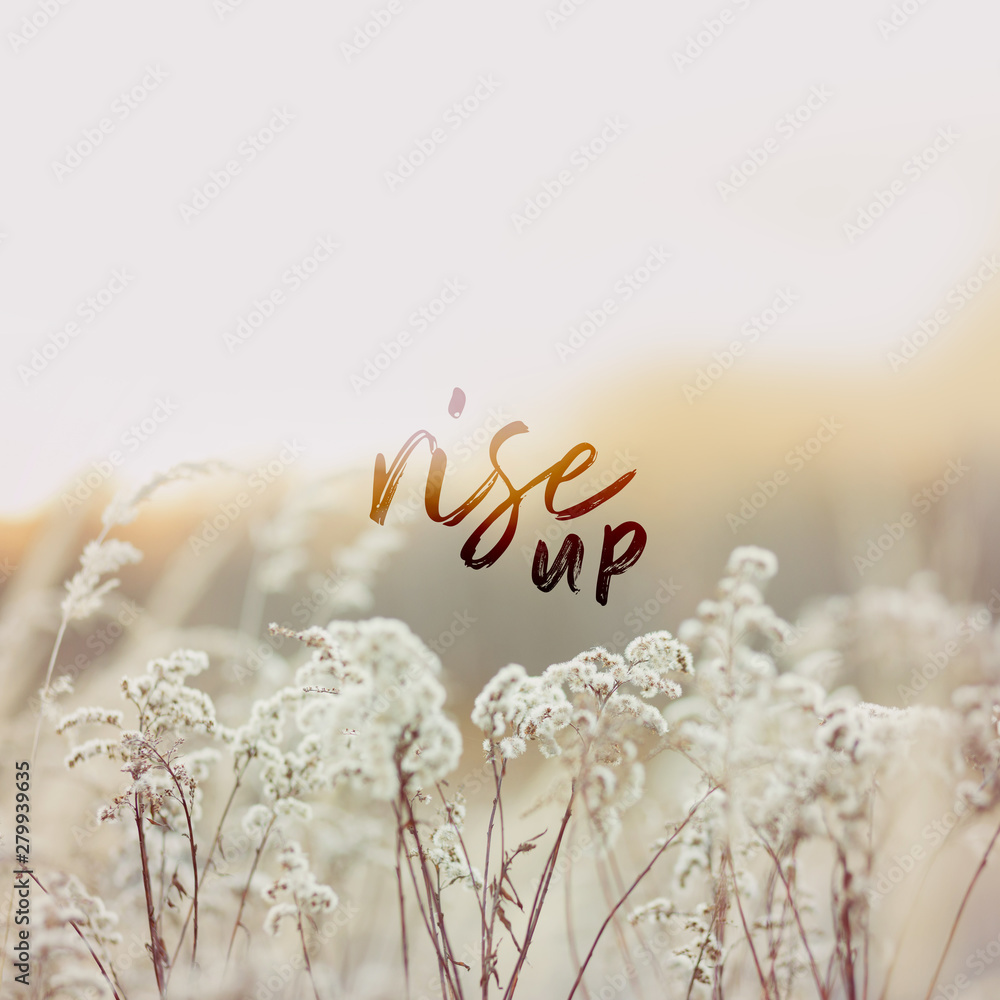 Positive Inspiring Nature Wallpaper With Quotes