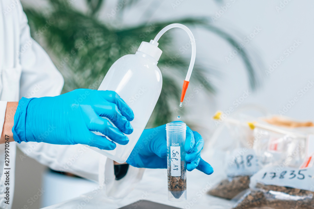 Soil Testing. Biologist Pouring Water Into Test Tube With Soil Sample ...