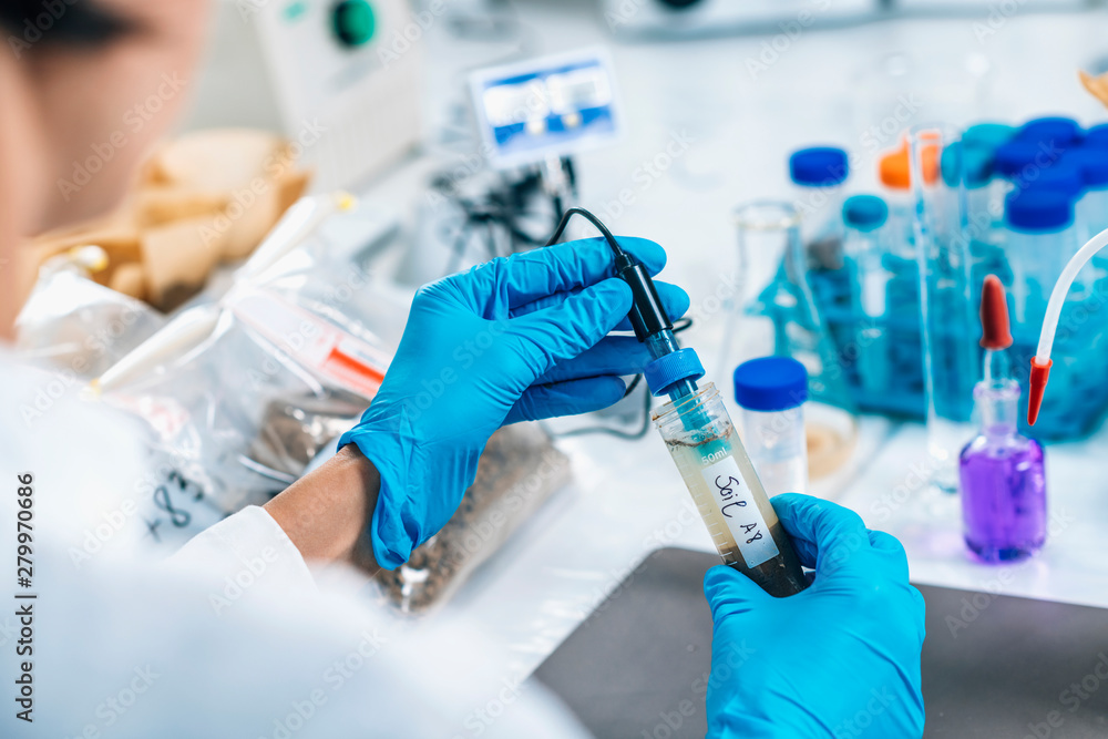 Soil Laboratory Analysis. Scientist Measuring PH Of Soil Sample Stock ...