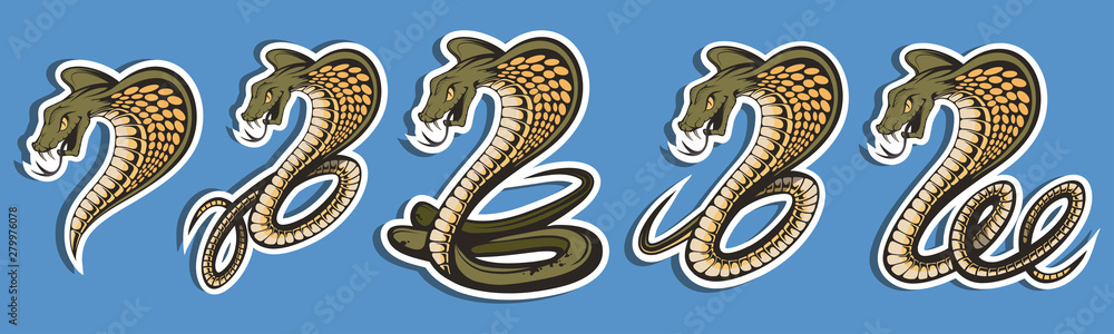 Set of King cobra sports mascot logo. Spectacled cobra mascot, emblem ...