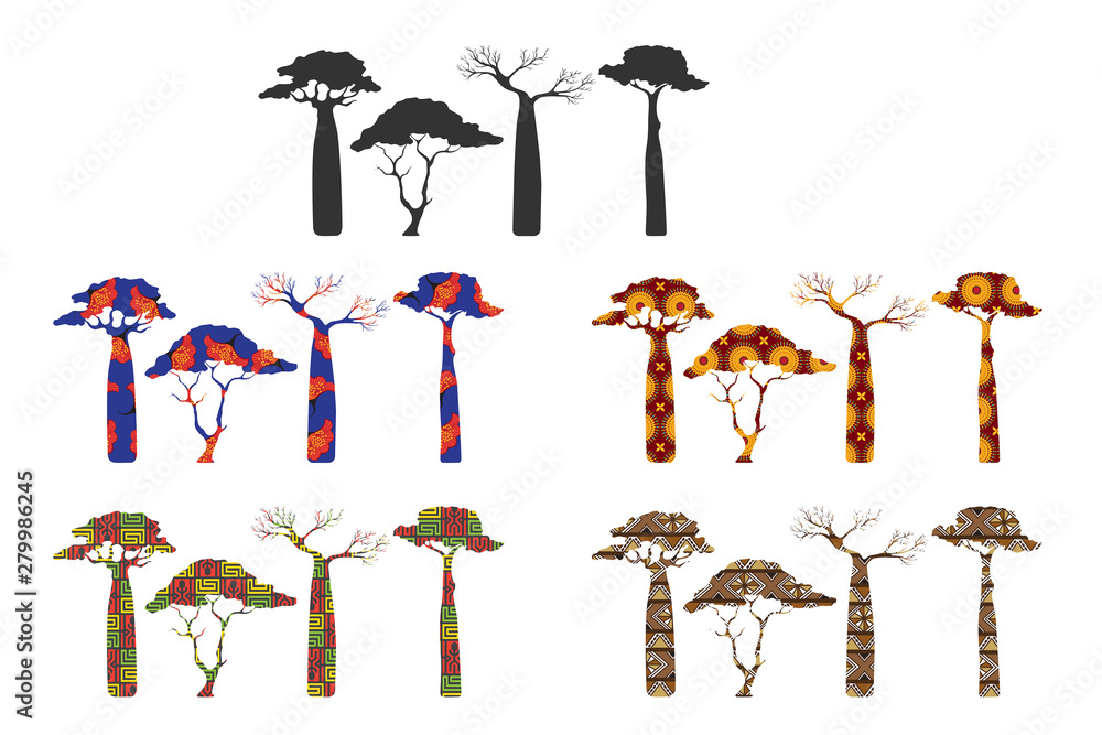 African trees - baobab and acacia isolated on white background. Black ...