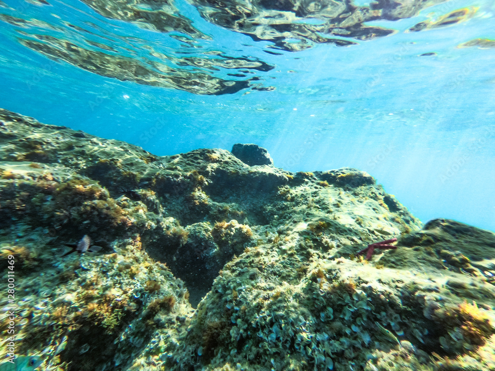 Underwater view of the rocks, sand and stones. The sandy and rocky ...