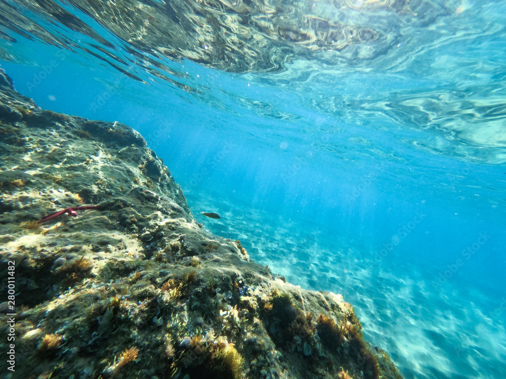 Underwater view of the rocks, sand and stones. The sandy and rocky ...
