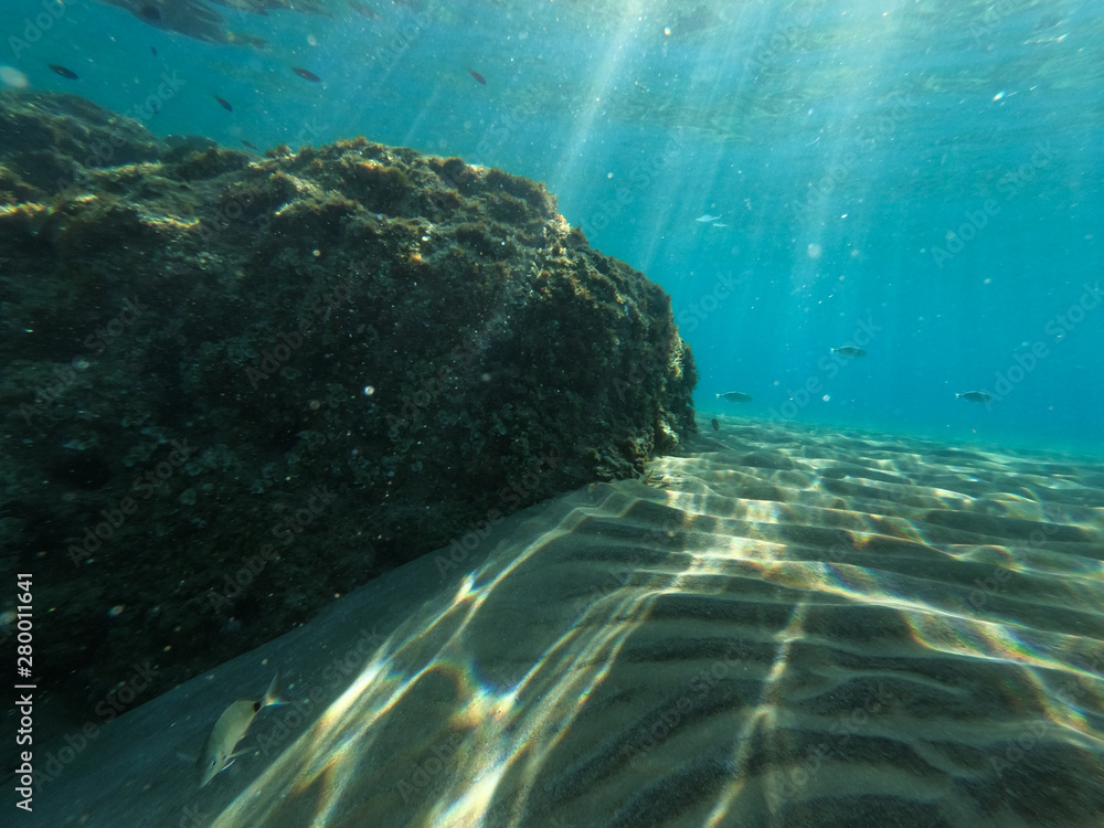 Underwater view of the rocks, sand and stones. The sandy and rocky ...