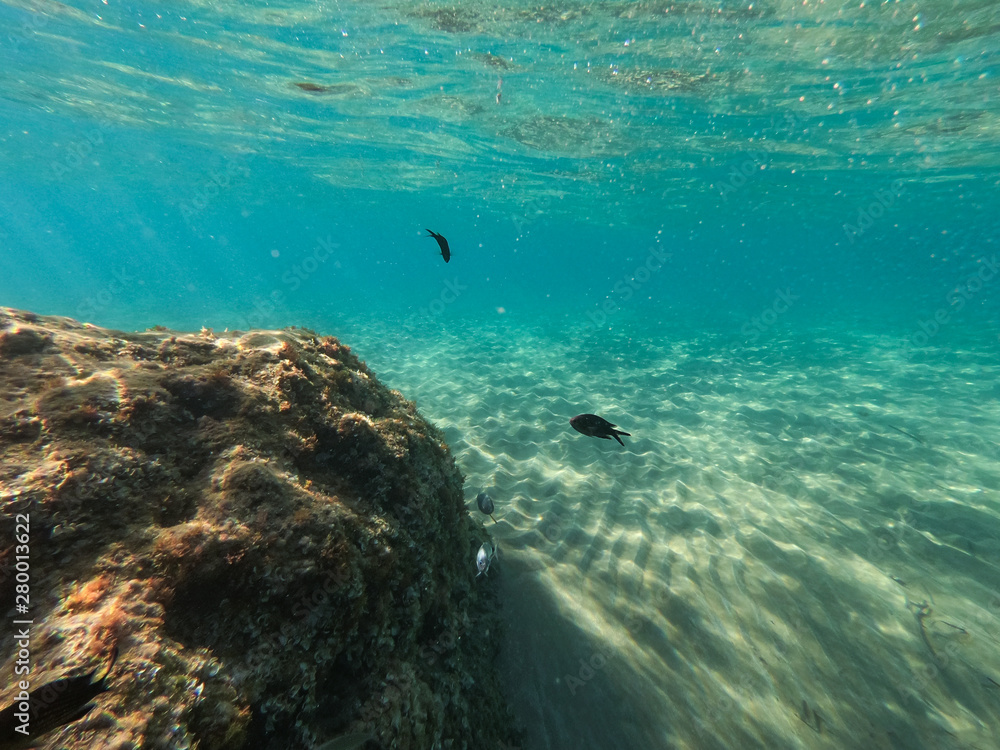 Underwater view of the rocks, sand and stones. The sandy and rocky ...