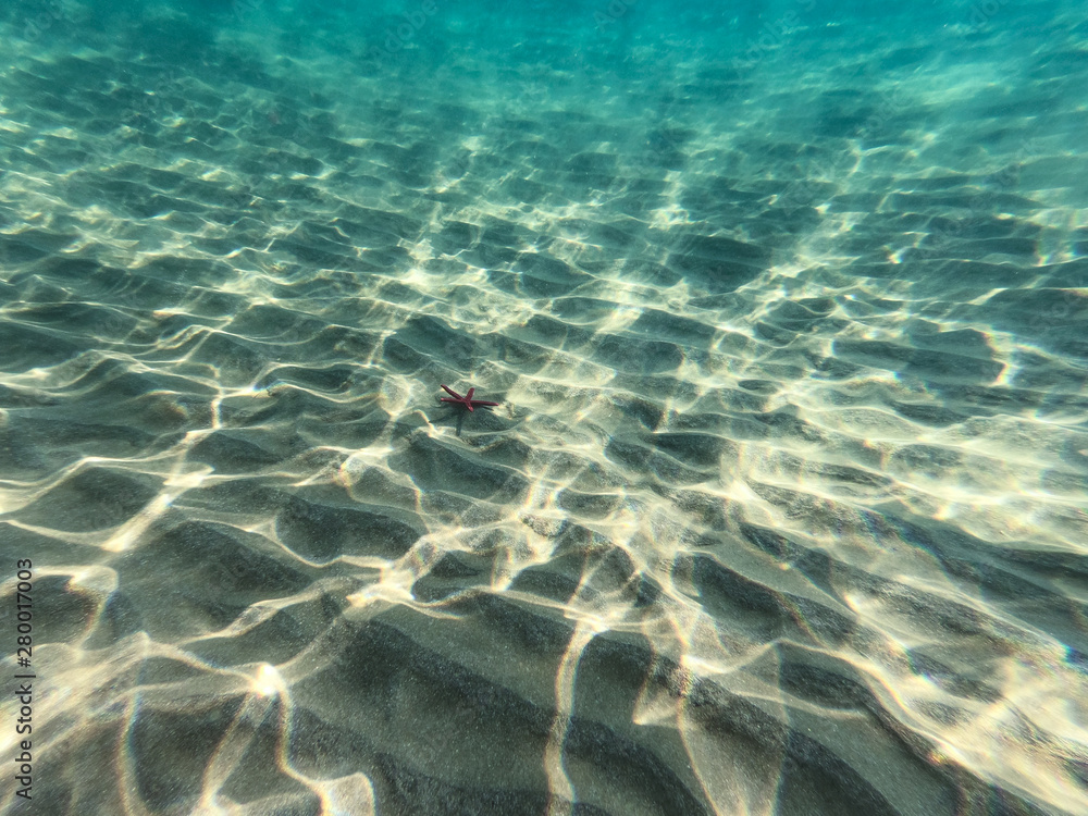 Underwater view of the rocks, sand and stones. The sandy and rocky ...