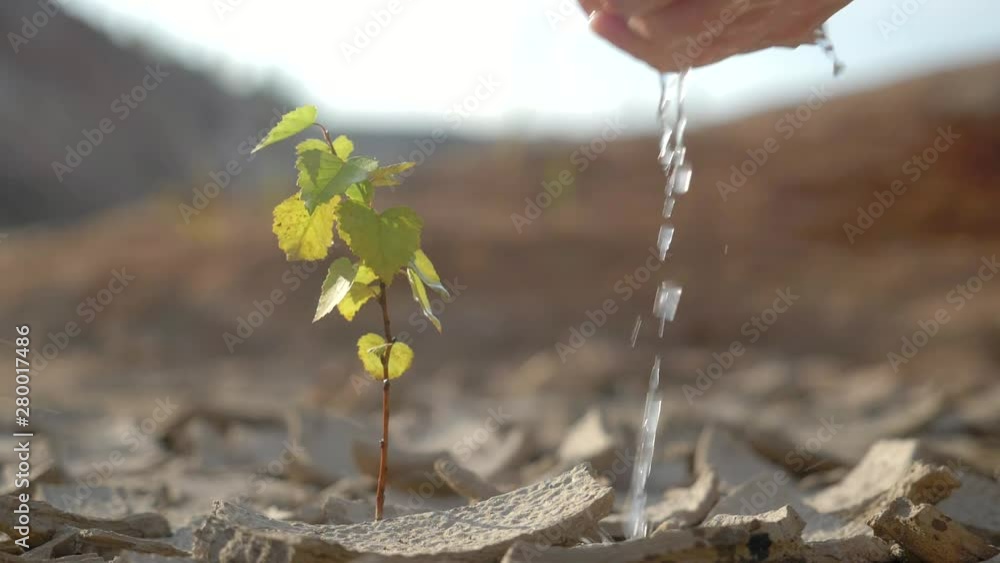Extreme Heat Drought Lack Of Water Drying Plant Desert. Drought ...