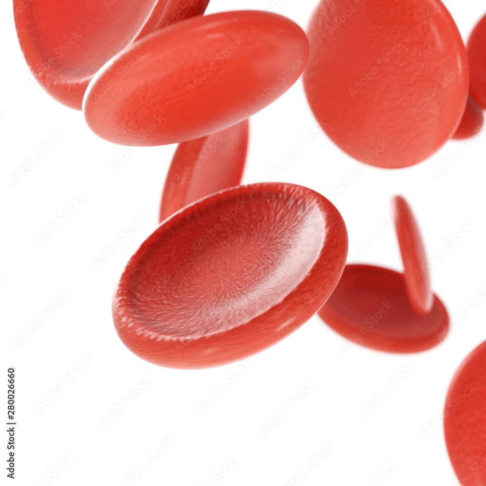 red blood cells isolated in white background Stock Illustration | Adobe ...