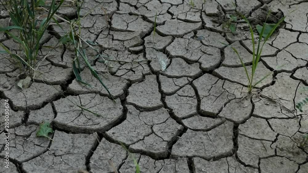 drought and soil, soil cracking, drought result, global warming, Stock ...