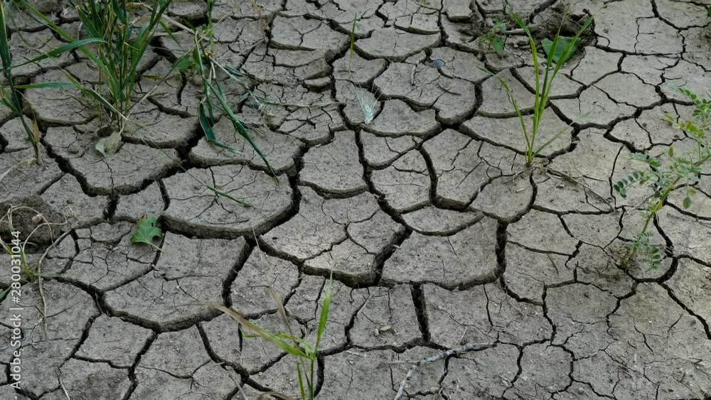 drought and soil, soil cracking, drought result, global warming, Stock ...