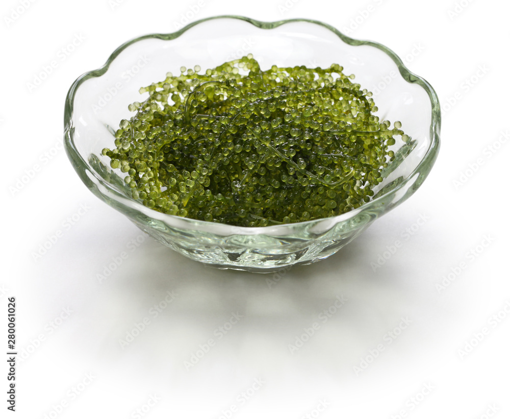 umi budo, green caviar, sea grapes, seaweed, edible algae Stock Photo ...