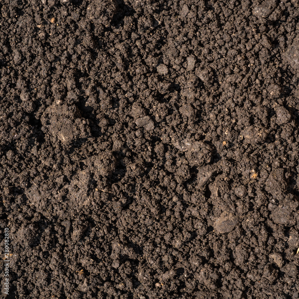 Dark Brown Soil