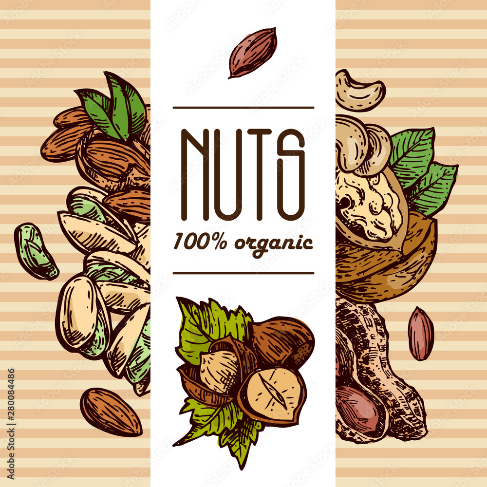 Nuts set sketch style food illustrations. Hand drawn beautiful pictures ...
