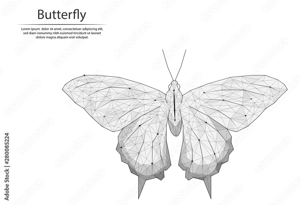 Abstract image Butterfly in the form of lines and dots, consisting of ...