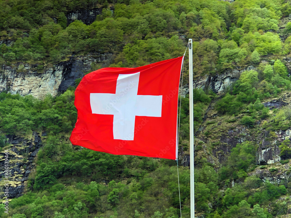 National flag of the Swiss Confederation (Flag of Switzerland ...