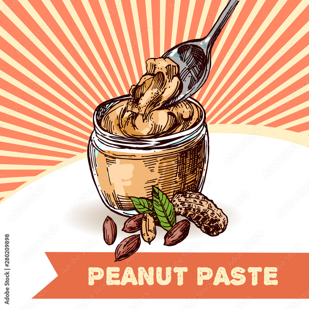 Peanut sketch illustration. Hand drawn beautiful set of groundnut ...