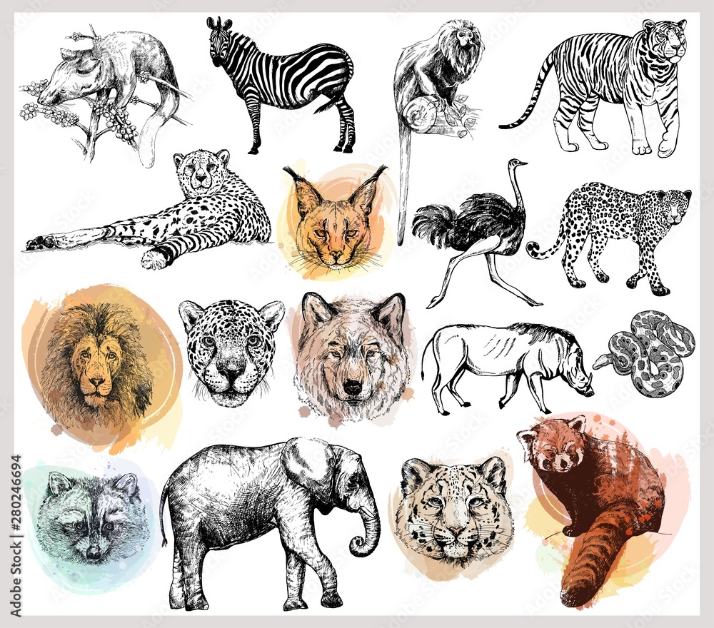 Big set of hand drawn sketch style wild animals isolated on white ...