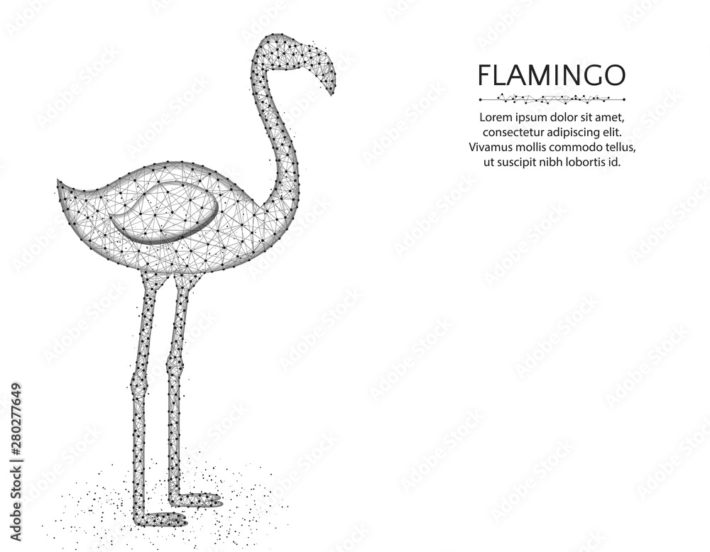 Flamingo low poly design, African animal abstract graphics, bird ...