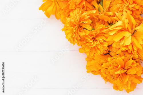 Cempasuchil Flower Drawing | Best Flower Site