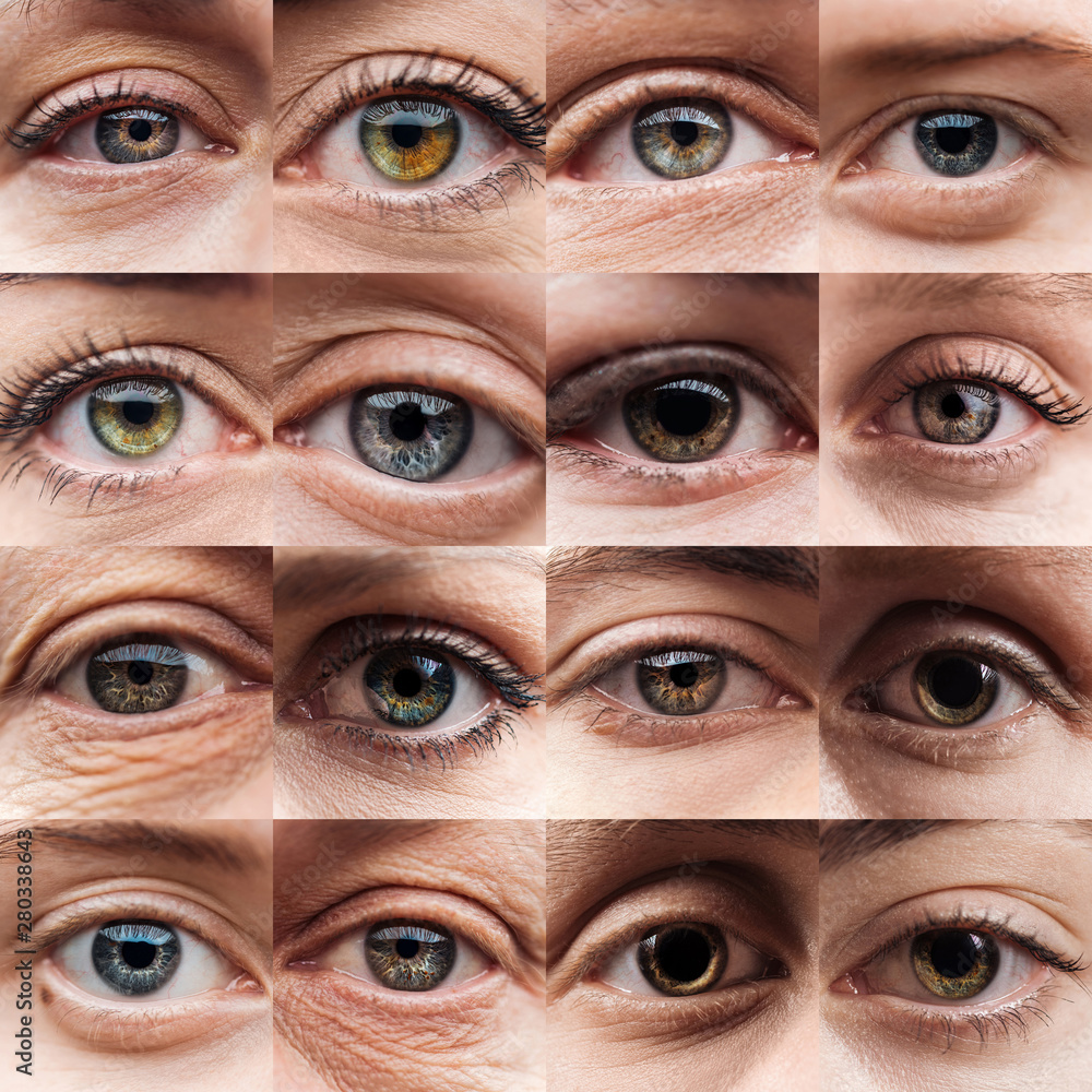 collage with human beautiful eyes of different colors Stock Photo ...